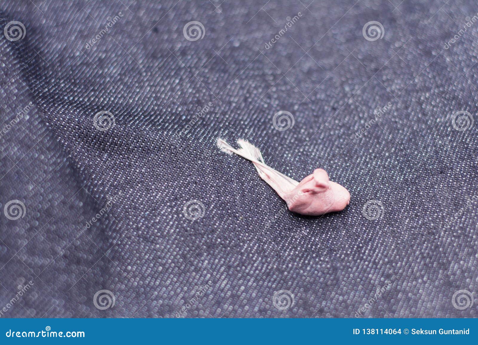 Chewing Gum Sticky on Clothes Stock Photo - Image of life, remove ...