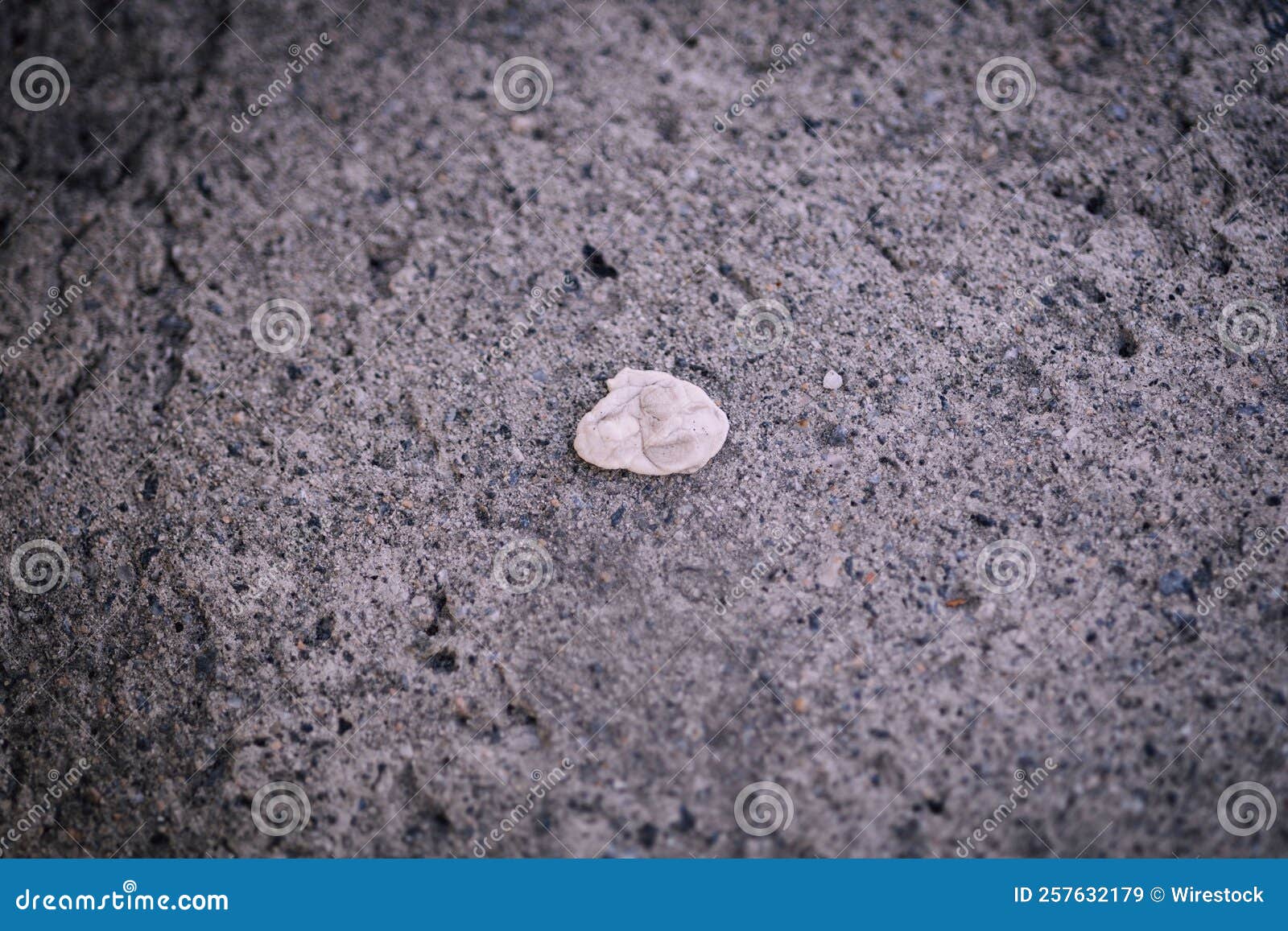 Chewing gums on asphalt stock image. Image of chewed - 257632179
