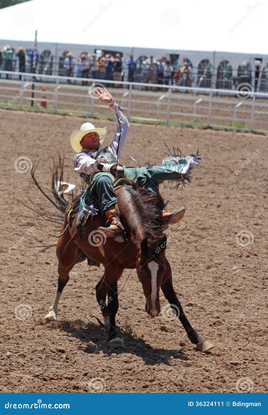 Cheyenne Frontier Days Rodeo 2013 Foto editorial - Imagen de occidental ...