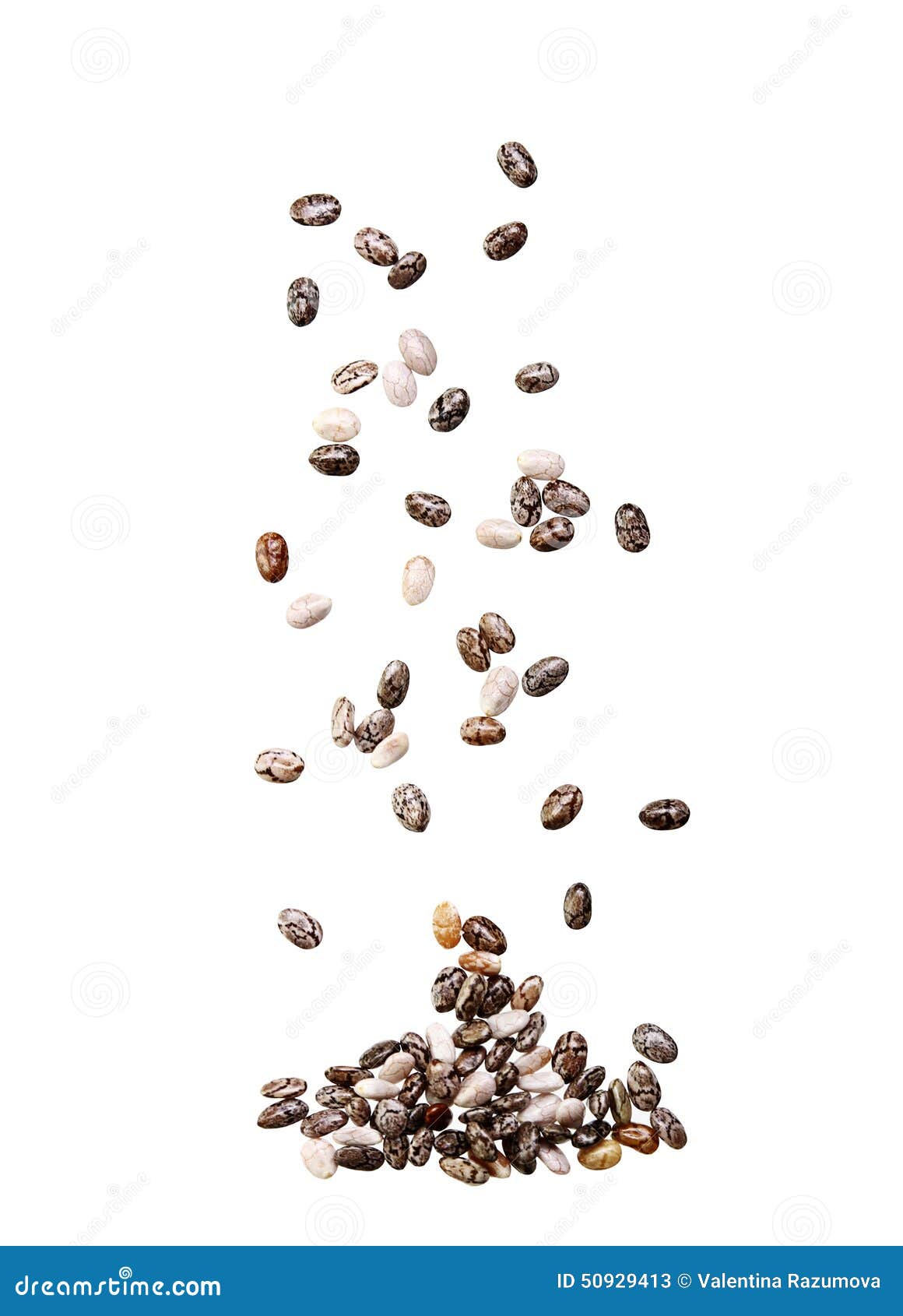 Chia seed isolated stock image. Image of close, heap - 50929413