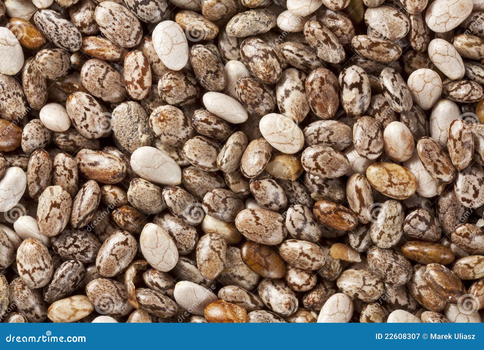 Chia Seeds at 2x Life-size Magnification Stock Image - Image of texture ...