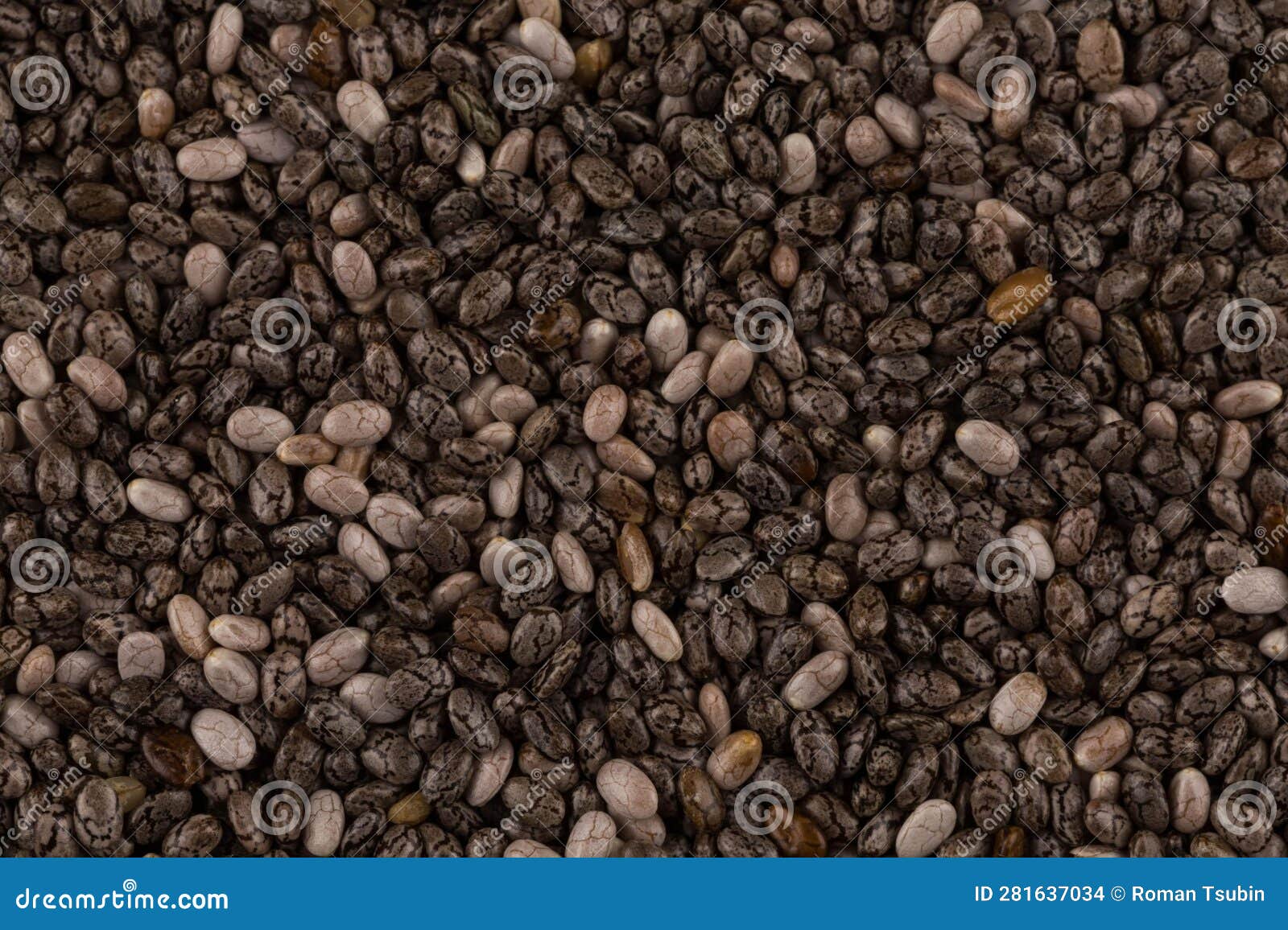 Chia seeds closeup stock photo. Image of seed, macro - 281637034