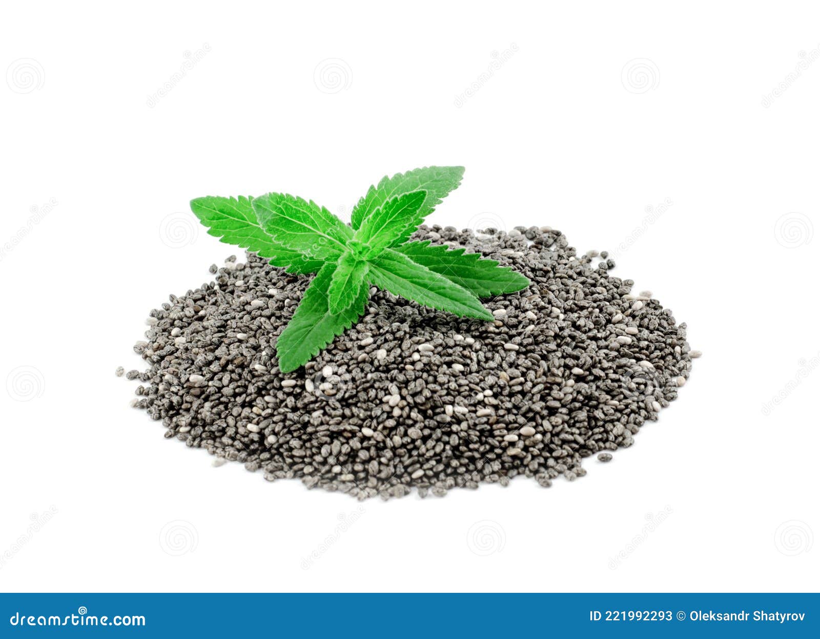 Chia Seeds and Green Chia Leaves on White Background Stock Image ...