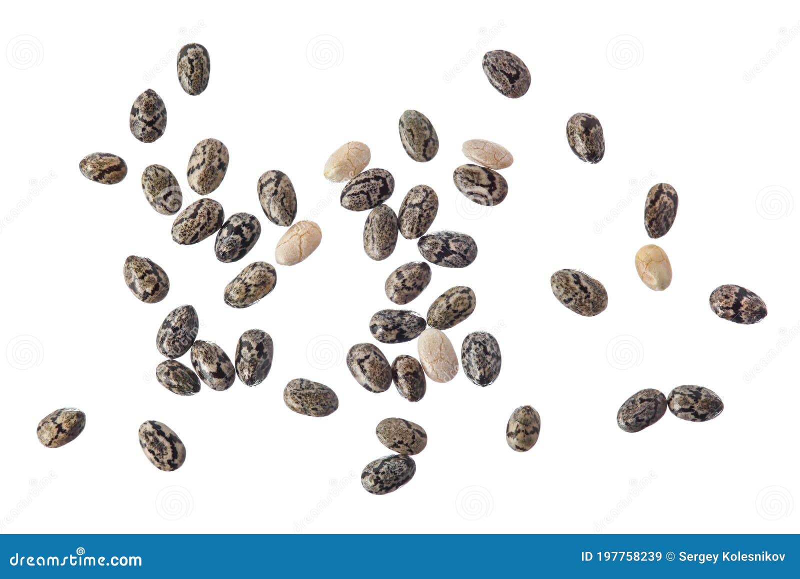 Chia Seeds Isolated on White Background with Clipping Path and Full ...