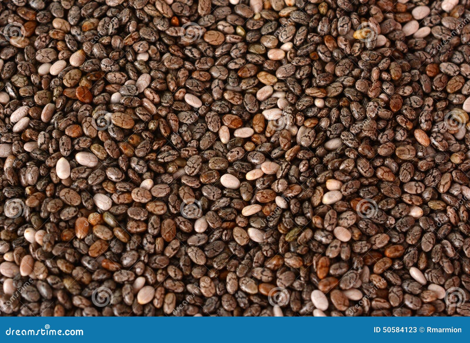 Chia Seeds stock image. Image of pile, supplement, seed - 50584123