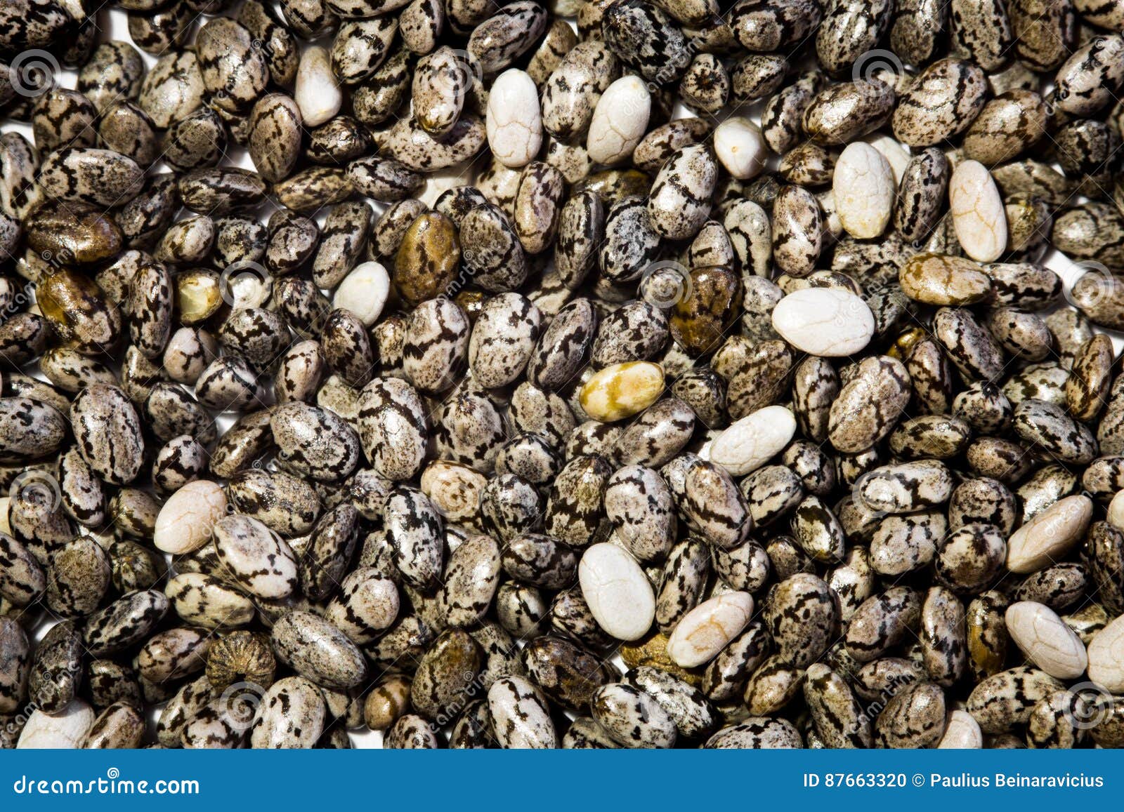 Chia seeds stock photo. Image of grain, nature, health - 87663320