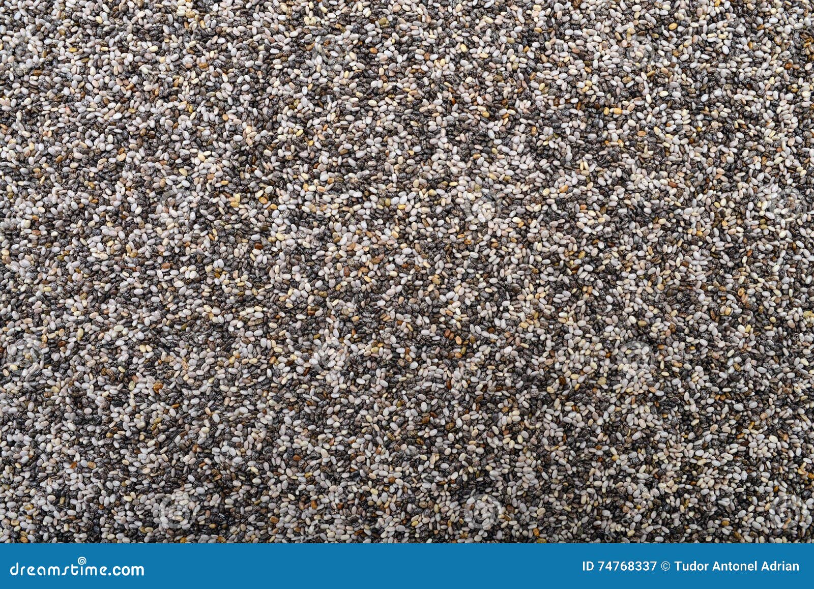 Chia seeds texture stock image. Image of healthy, seed - 74768337