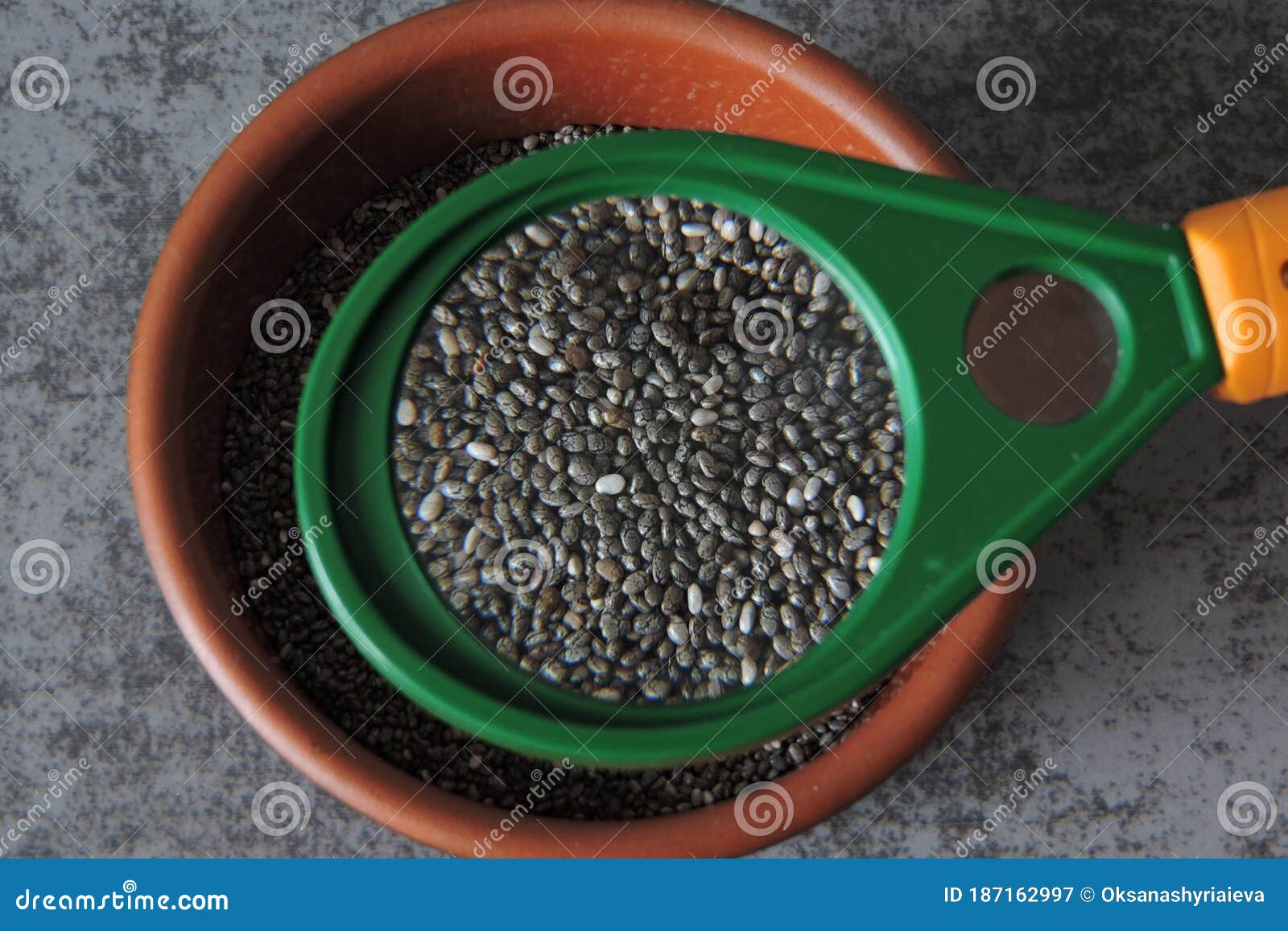 Chia Is Viewed Under A Magnifying Glass. Stock Photography ...