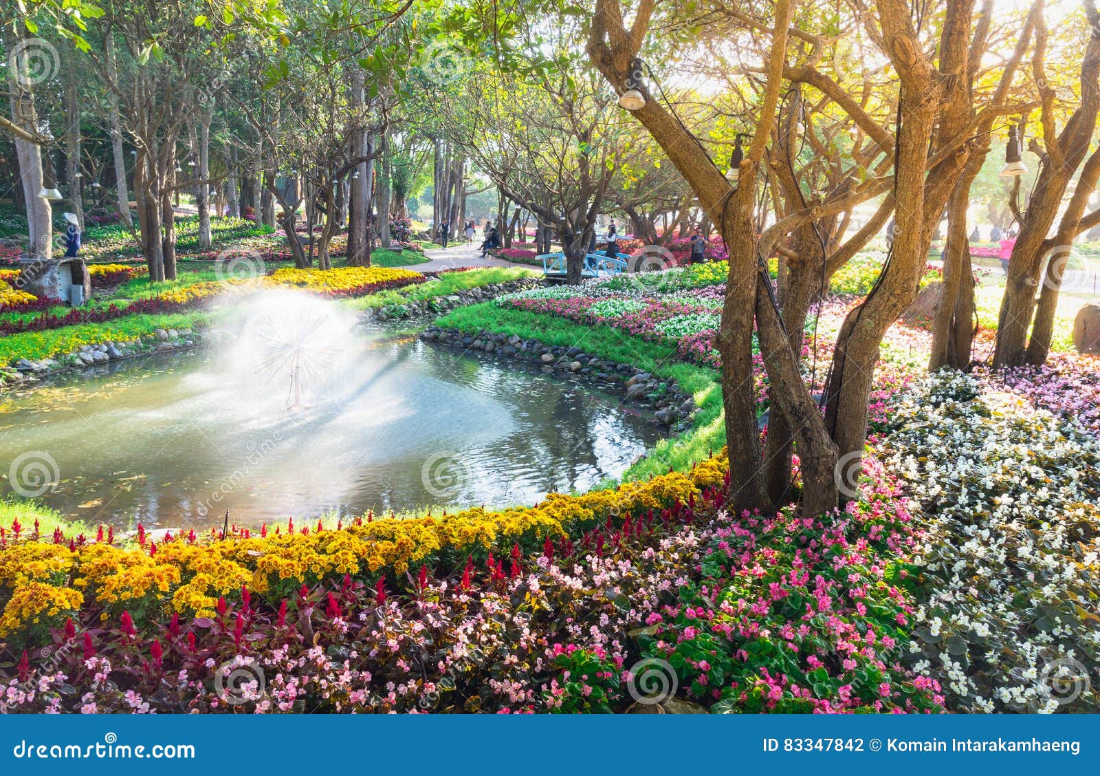 Chiang Rai Flower Festival fotografia editorial. Imagem de festival ...