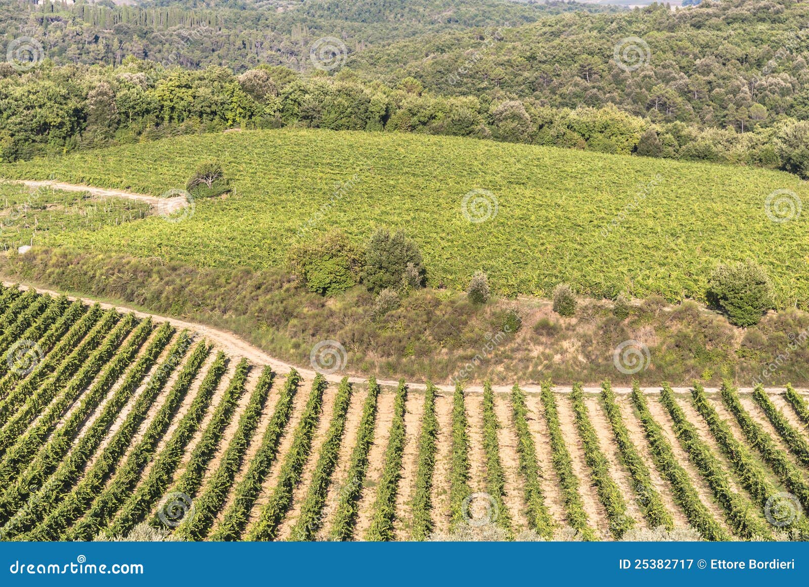 Chianti Wine Region, Tuscany. Stock Image - Image of tuscany ...