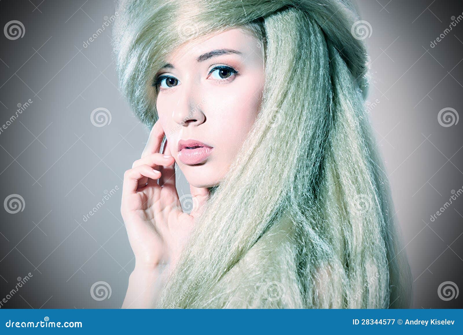 Chic beauty stock image. Image of face, portrait, healthy - 28344577