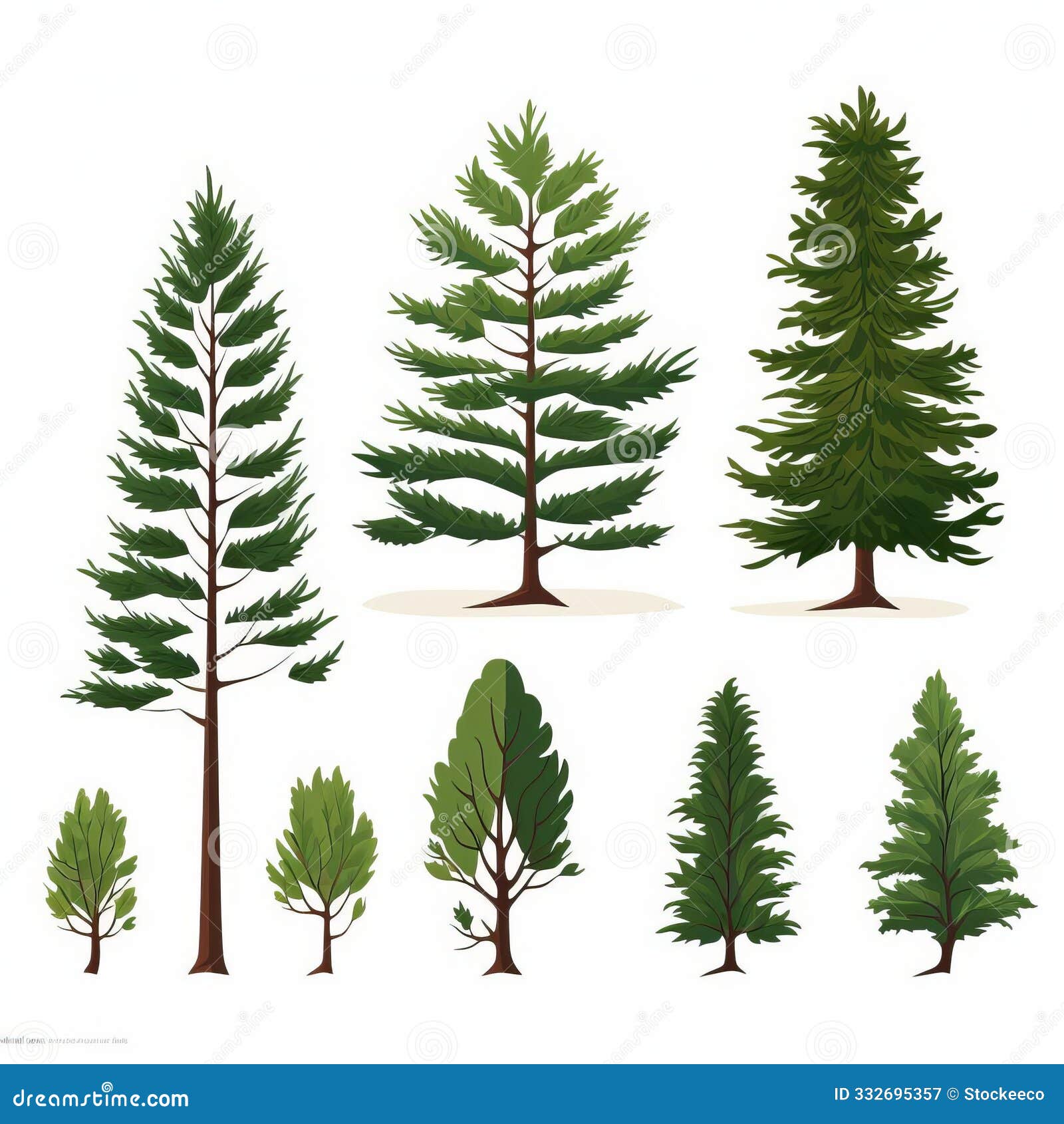 Chic Needletee Pine Trees - Scientific Illustrations and Minimalistic ...