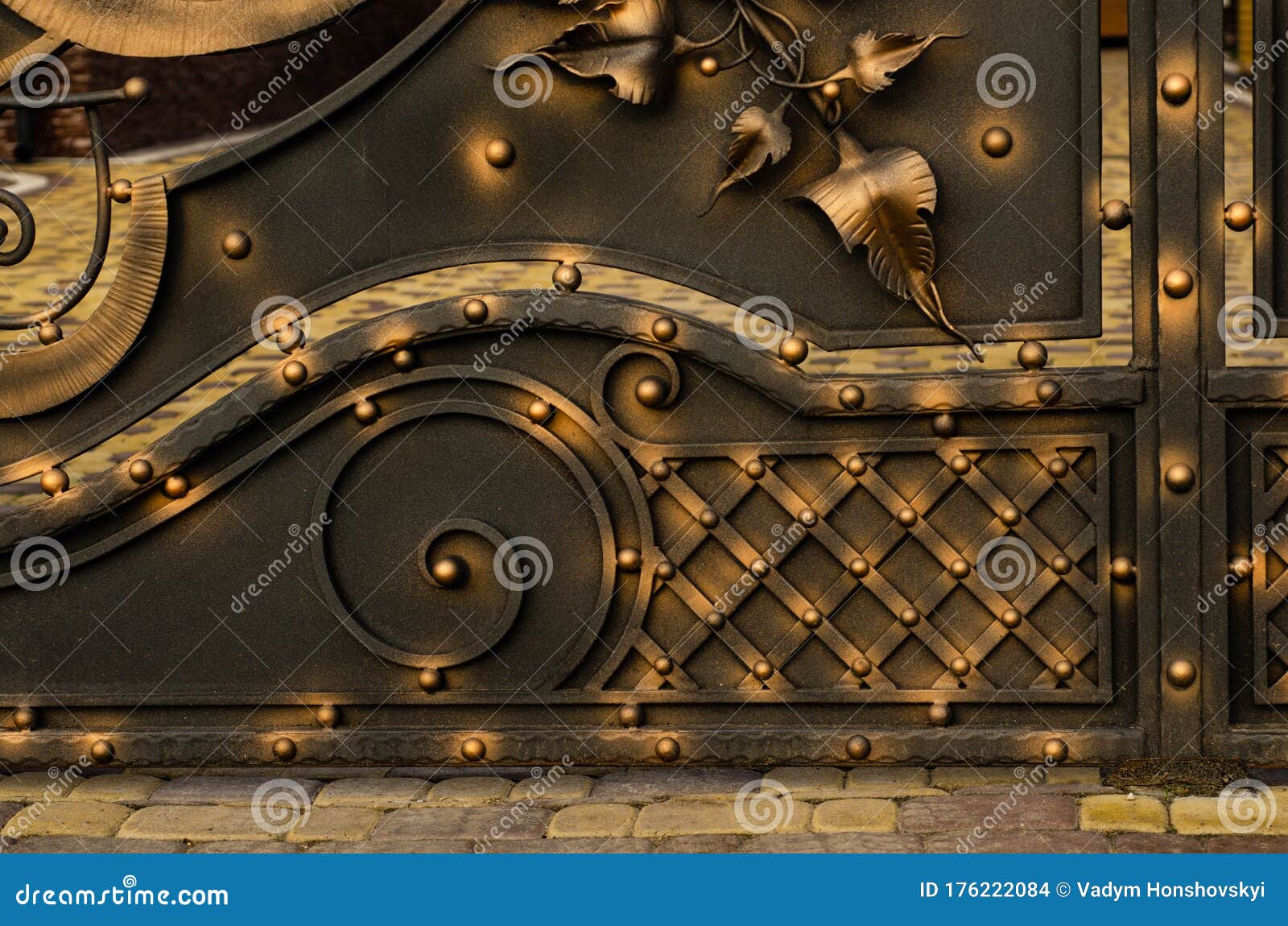 Chic Ornate Forged Gates with Decorative Elements Stock Photo - Image ...