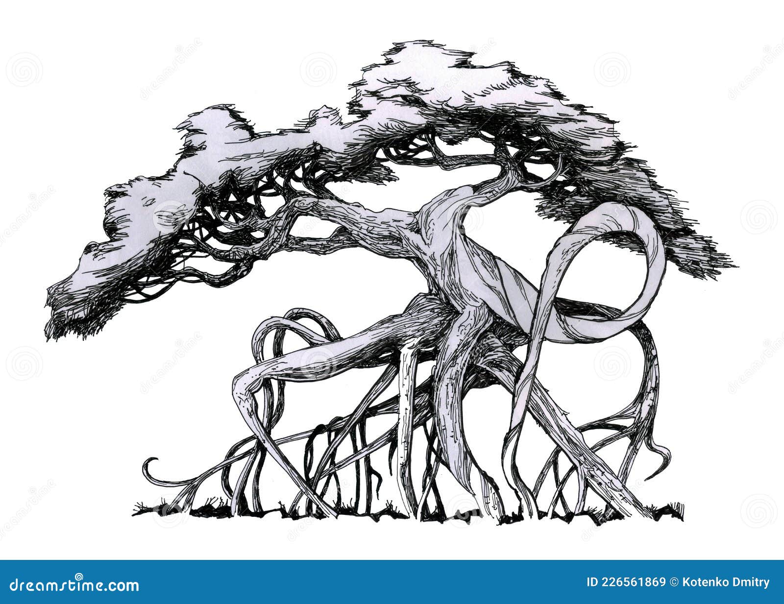 The Tree Walks on Its Roots. the Tree is a Monster. a Tree with Aerial ...