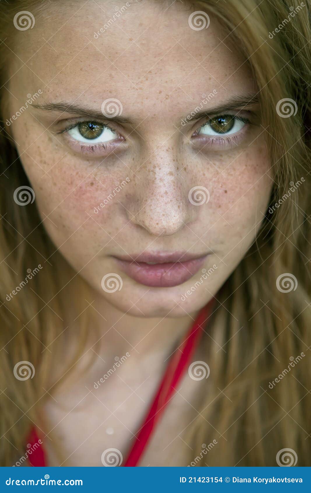 Chica Joven Foto De Archivo Imagen De Pensativo Brillante 21423154