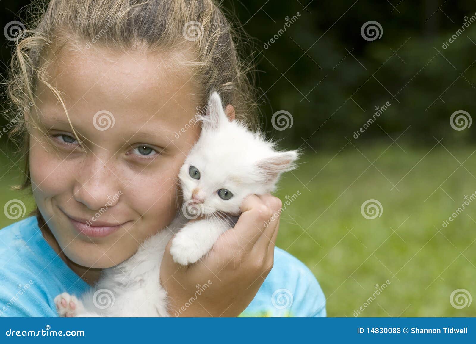 Chica Joven Que Sostiene El Gatito Blanco Foto de archivo - Imagen de ... Chica Joven Que Sostiene El Gatito Blanco Foto de archivo - Imagen de ...