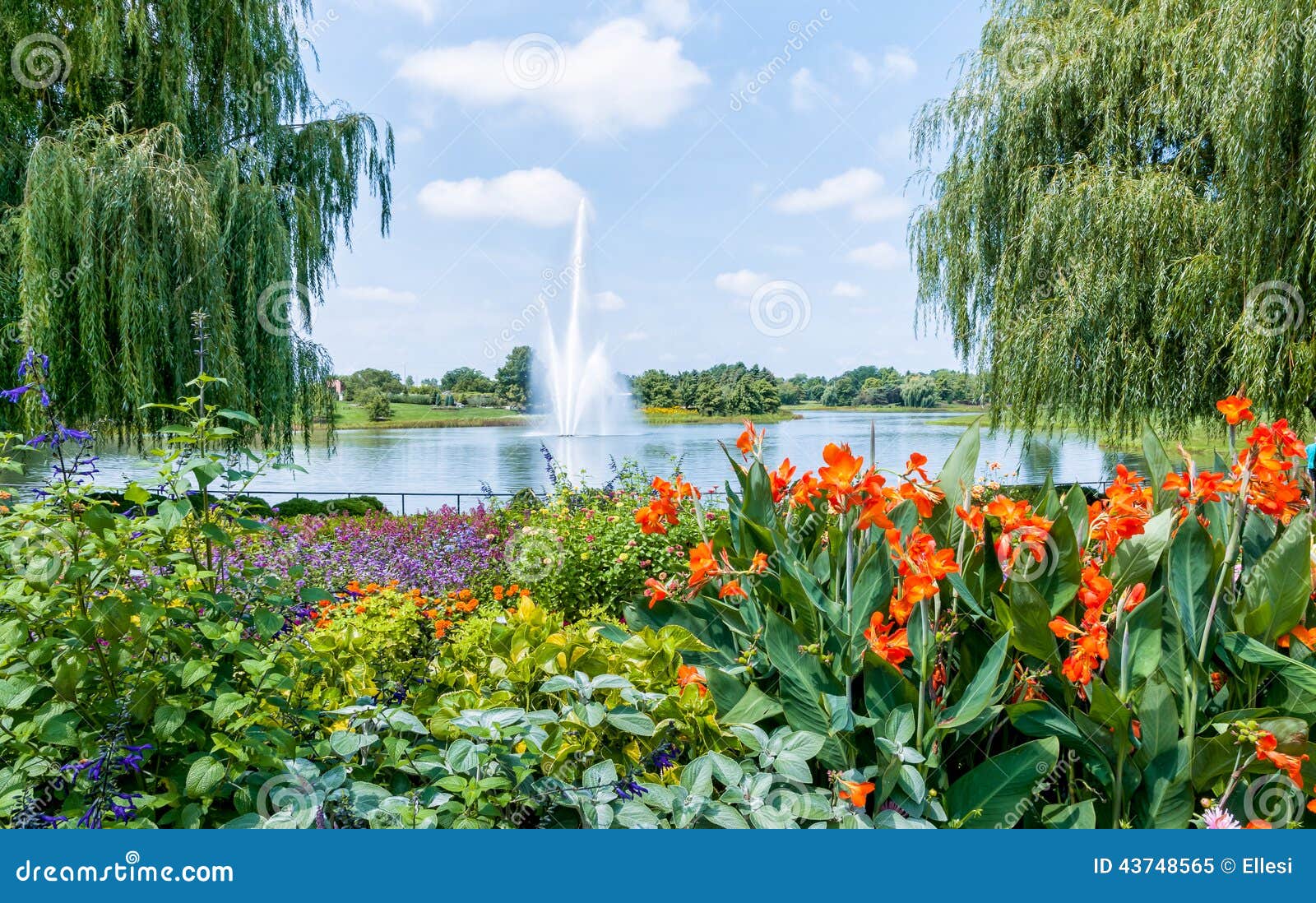 Chicago Botanic Garden stock image. Image of eerie, flower - 43748565