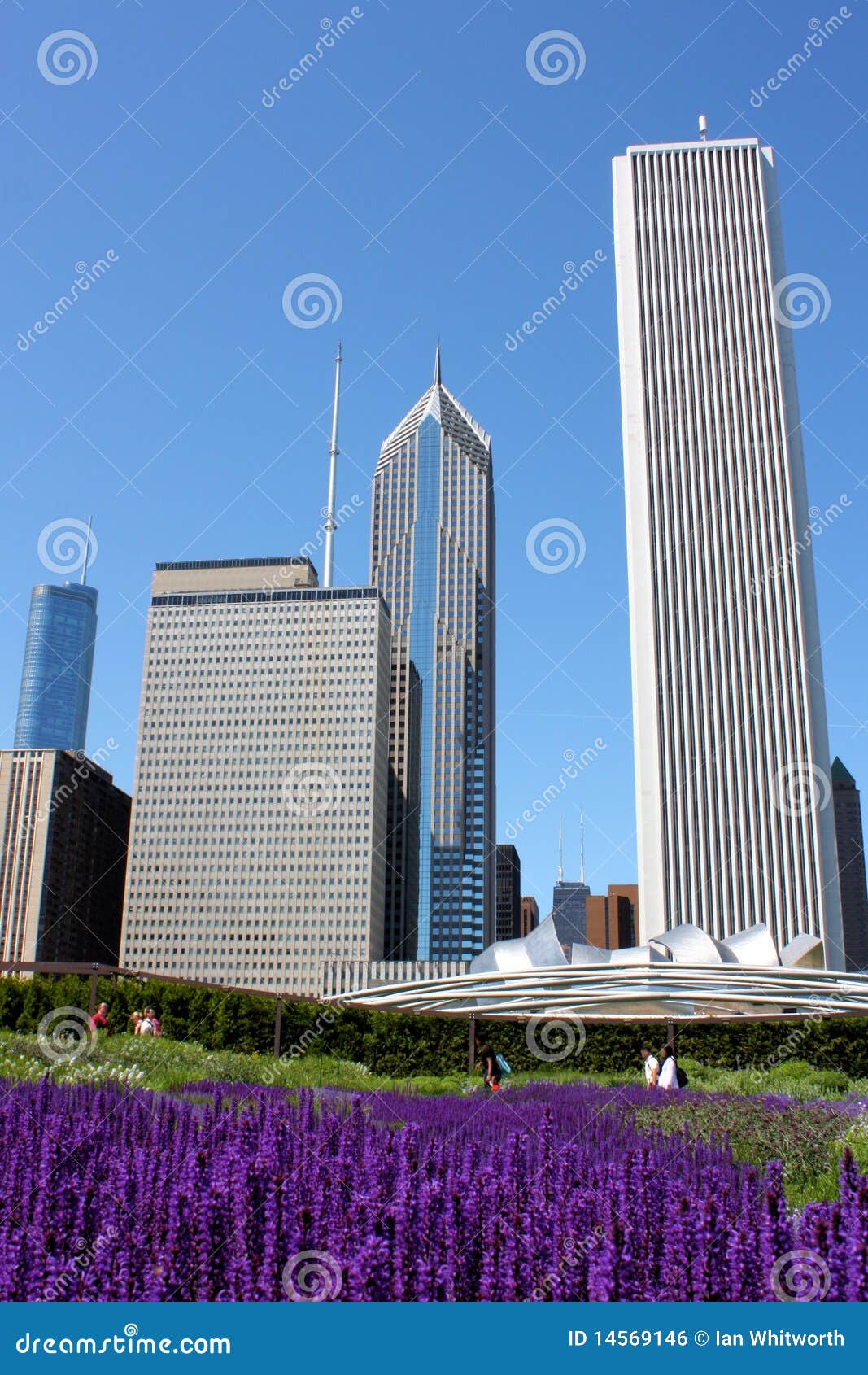 Chicago the Clean City stock photo. Image of states, skyline - 14569146