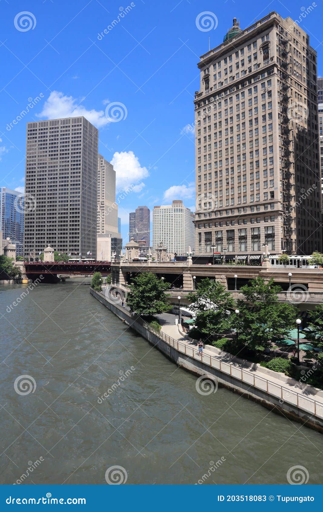 Chicago Loop skyline editorial stock photo. Image of skyscraper - 203518083