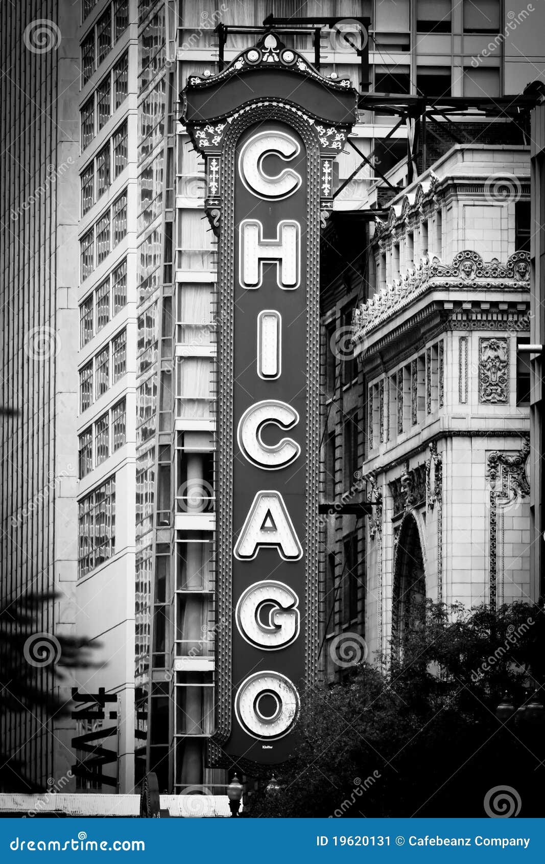 Sign For The Chicago Lakes Trail, From The Summit Lake Area Of The Mt ...