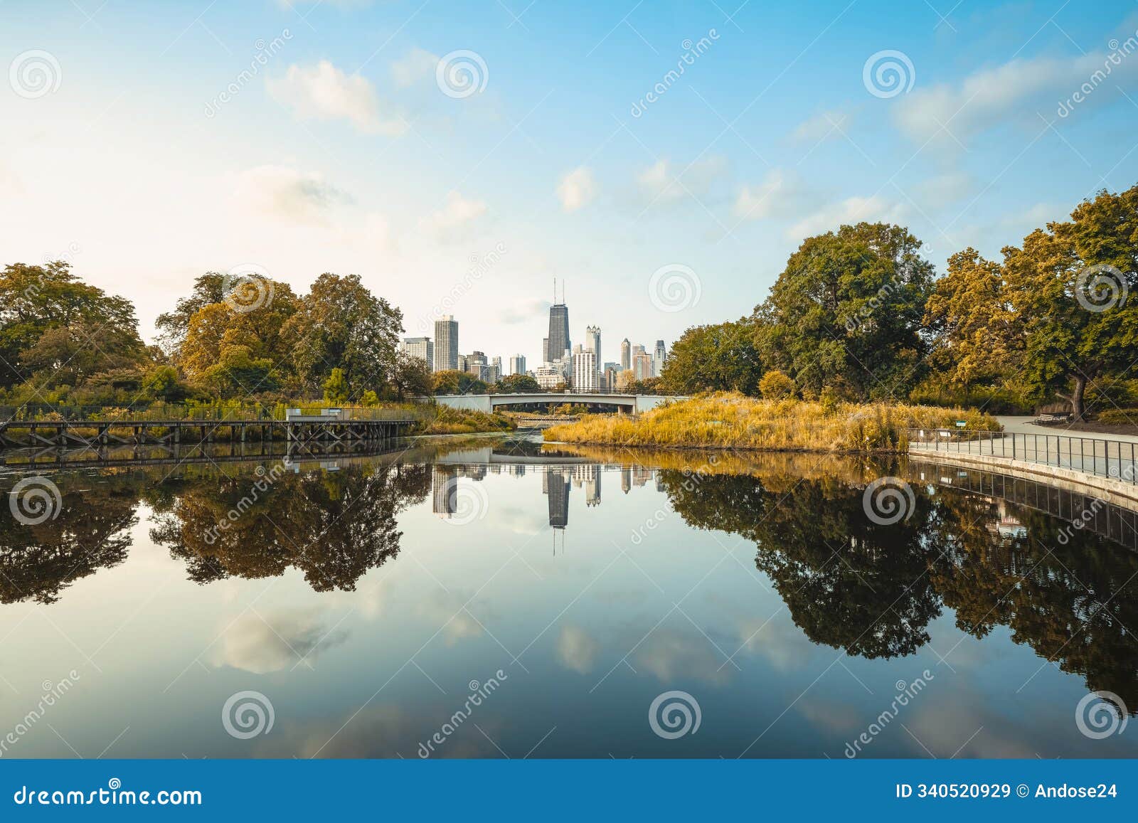 Chicago stock image. Image of illinois, nature, morning - 340520929