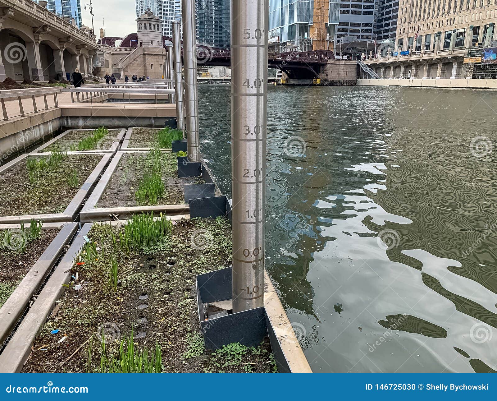 Chicago River Floating Ecosystem with Trash and Plastic Build Up ...