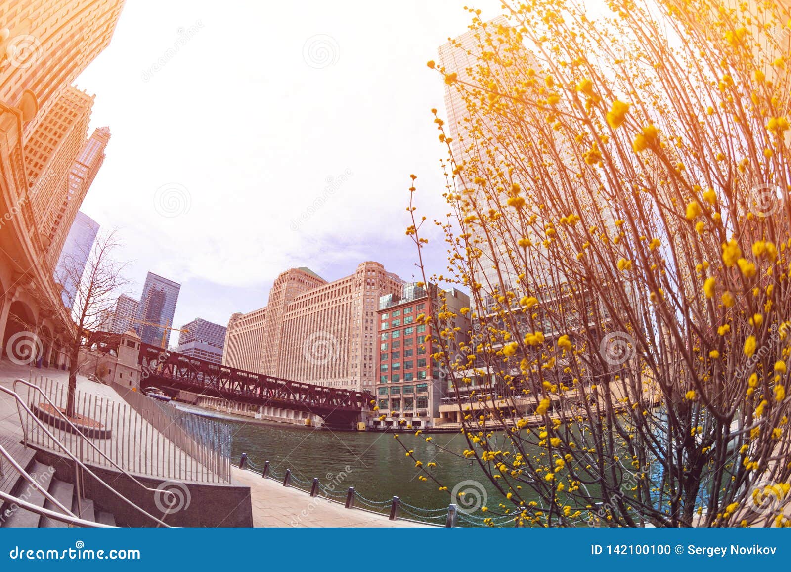 Chicago River at Spring in City Downtown District Stock Photo - Image ...