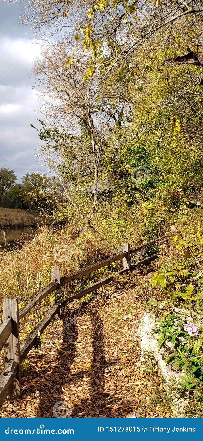 Chicago River Walk Path on Nice Sunny Day Stock Image - Image of walk ...