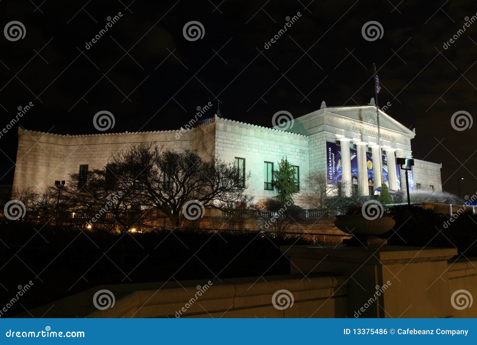 Shedd Aquarium In Chicago USA Museum Campus Fish Live Underwater Stock ...