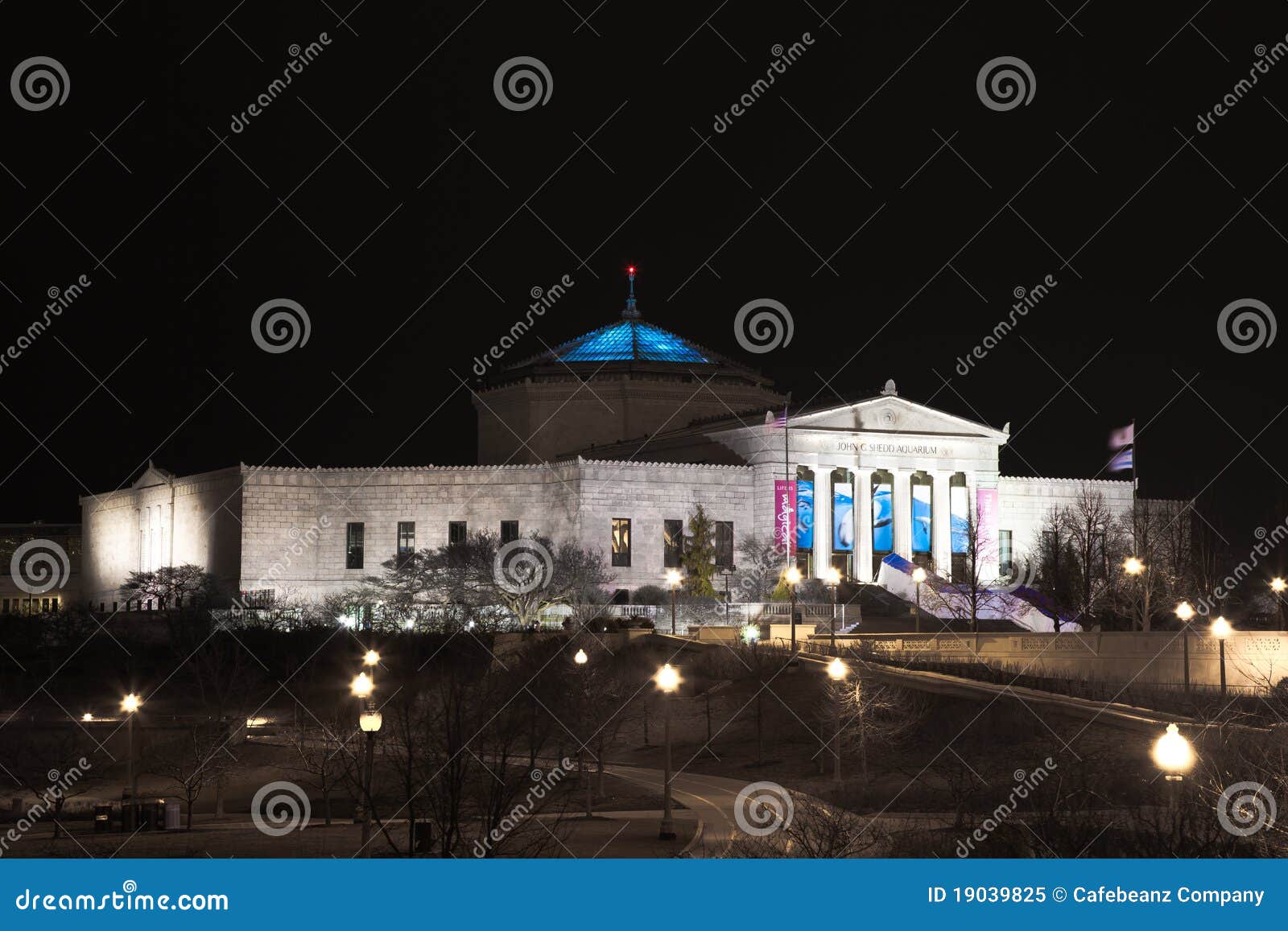 Shedd Aquarium In Chicago USA Museum Campus Fish Live Underwater Stock ...