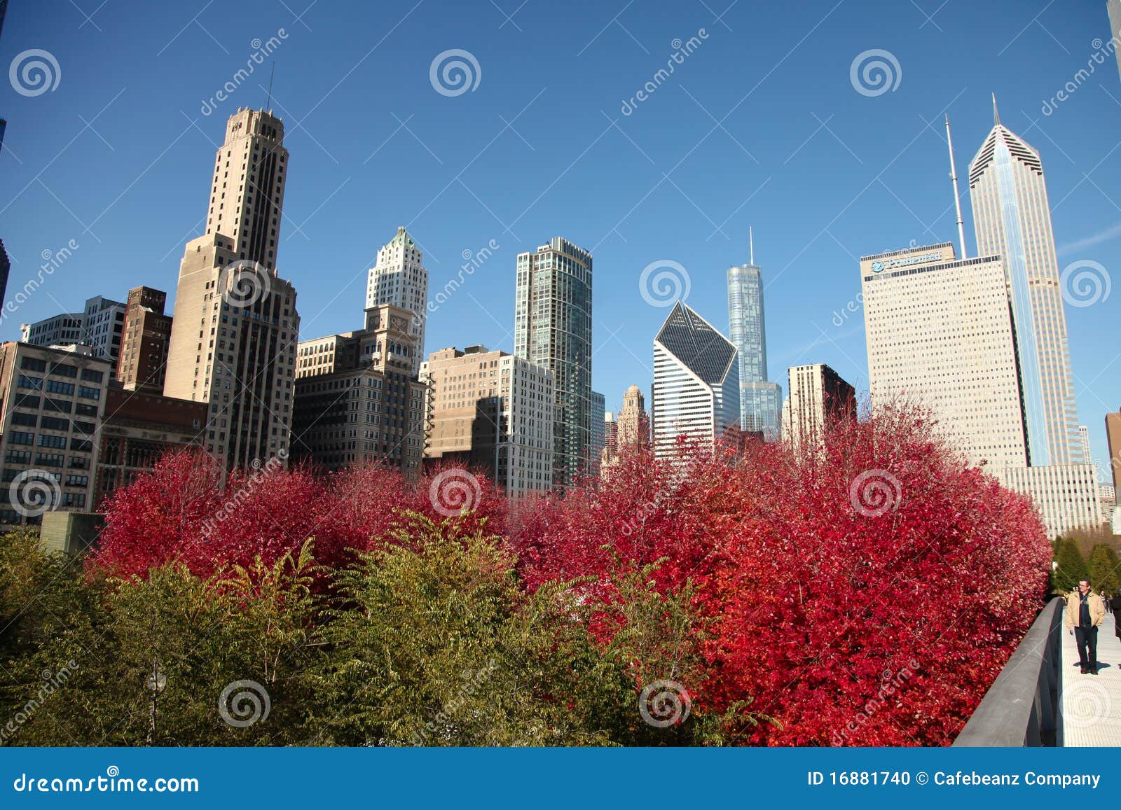 Chicago Skyline during Fall Editorial Image - Image of details, skyline ...