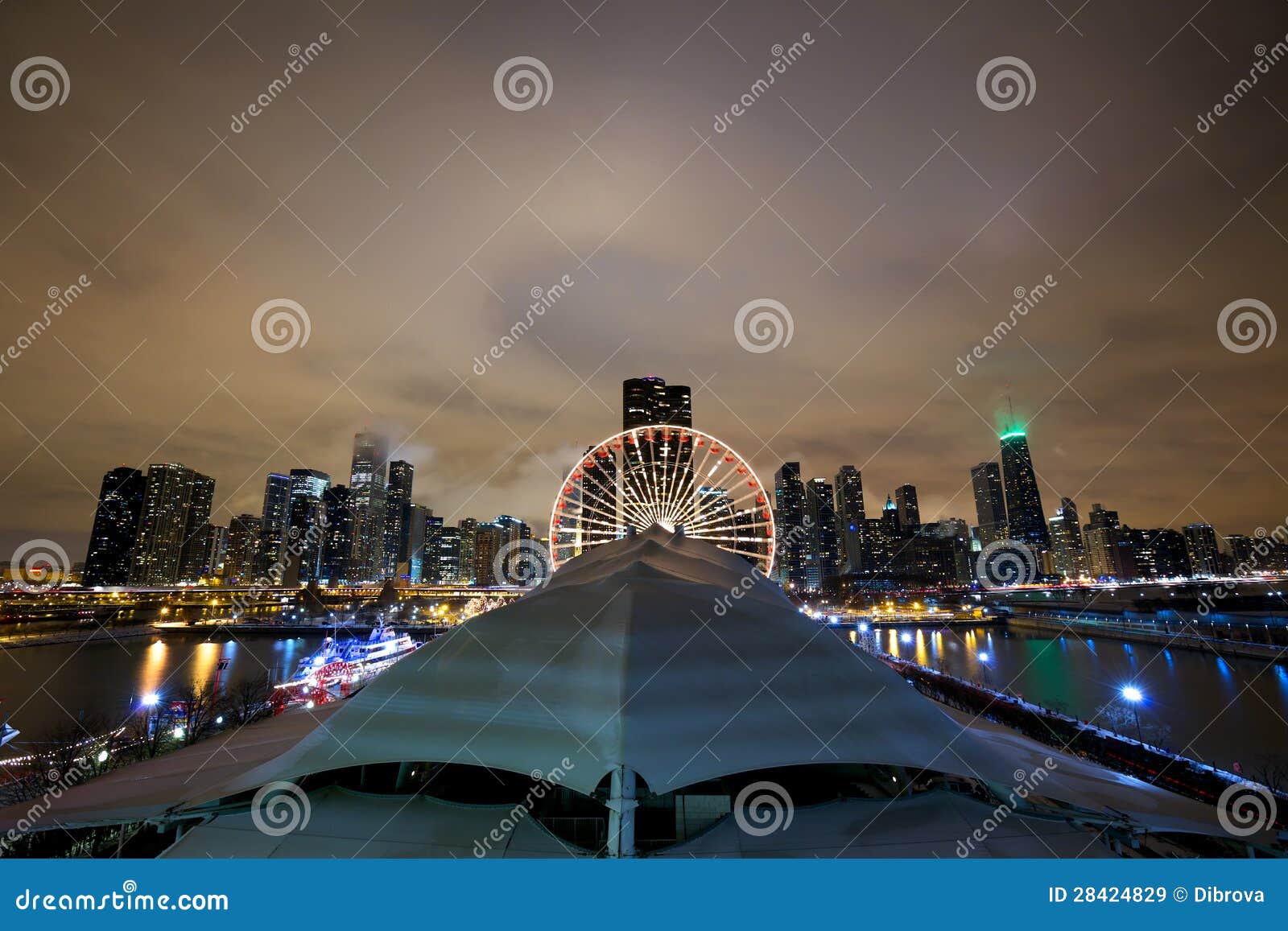 Chicago skyline at night editorial stock image. Image of scene - 28424829