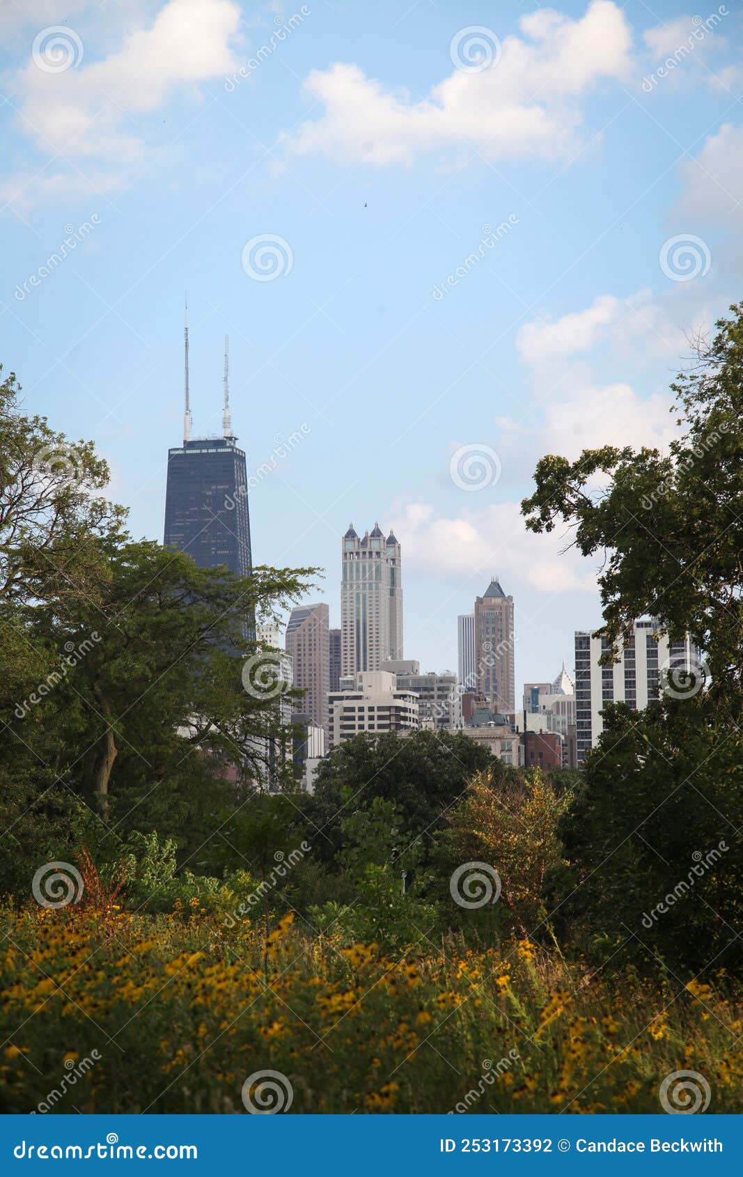 Chicago Skyline from the North Side Editorial Photography - Image of ...
