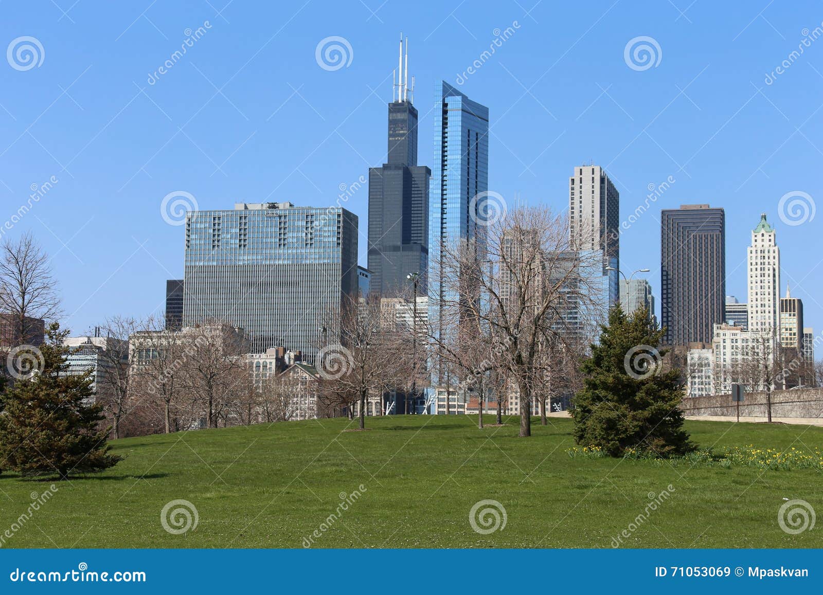 Chicago skyline in summer stock image. Image of skyscrapers - 71053069