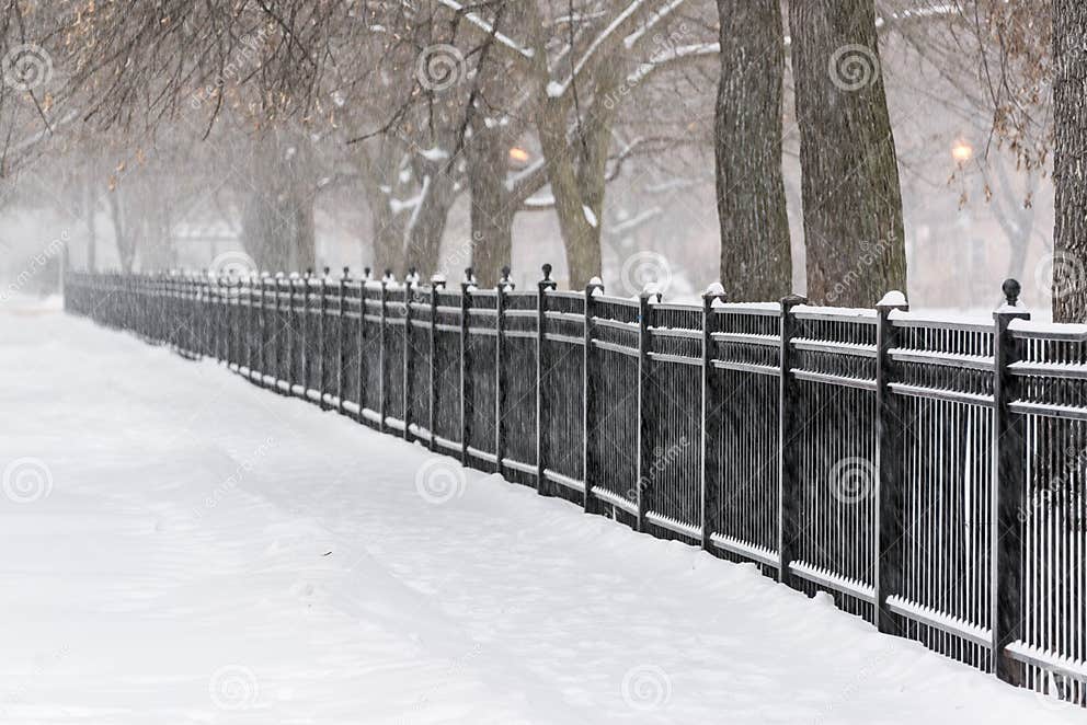 Chicago Snow Storm stock photo. Image of snowing, parks - 36864806