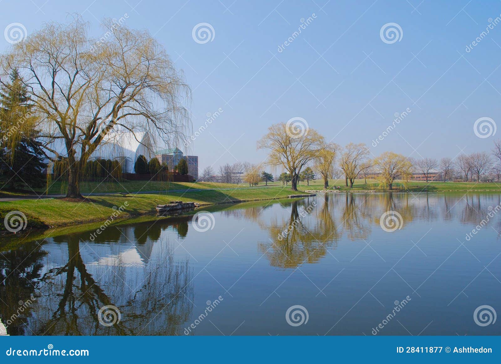 Chicago Spring stock image. Image of mirror, forest, flora - 28411877