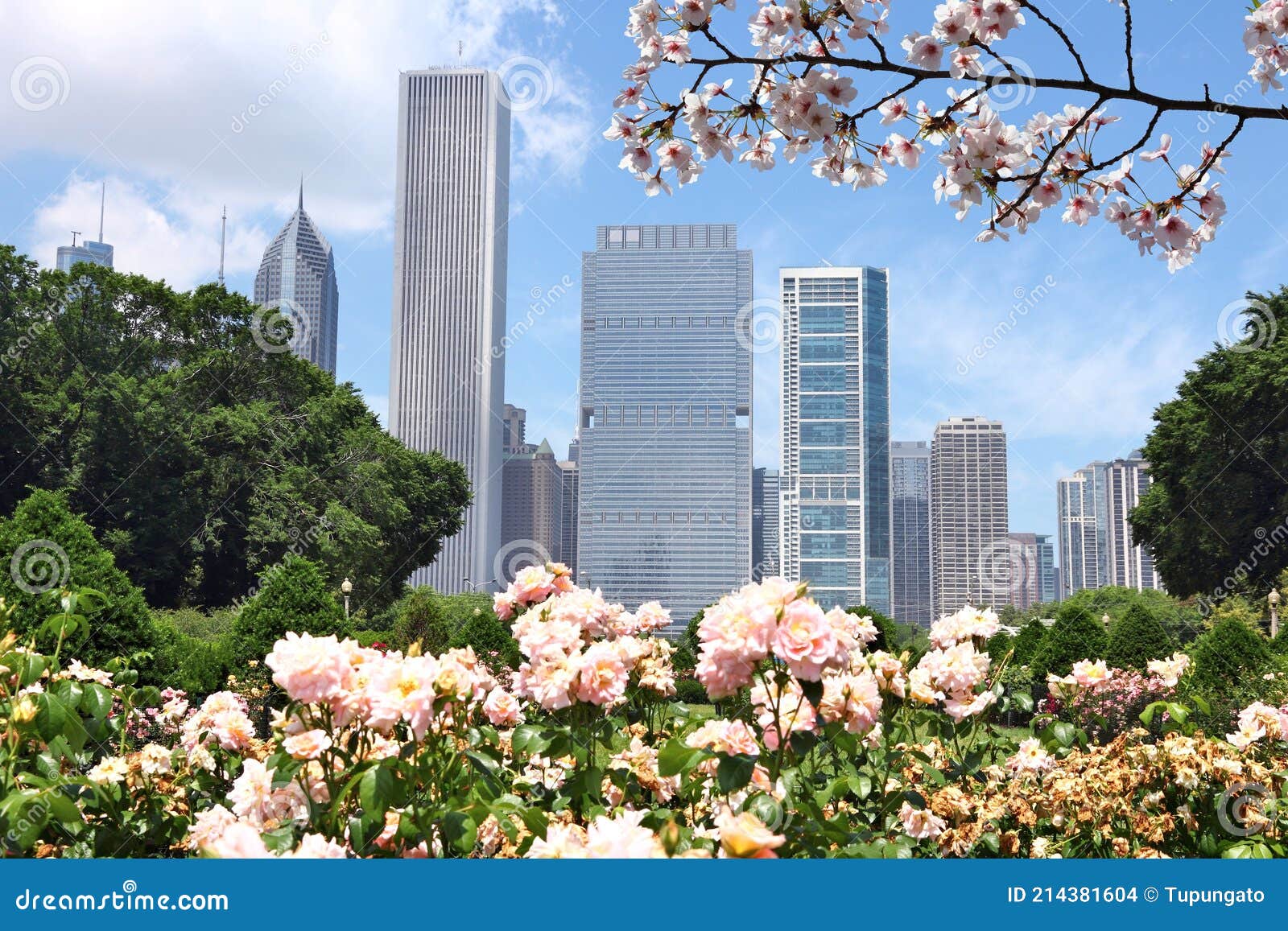Chicago spring skyline stock photo. Image of parkland - 214381604