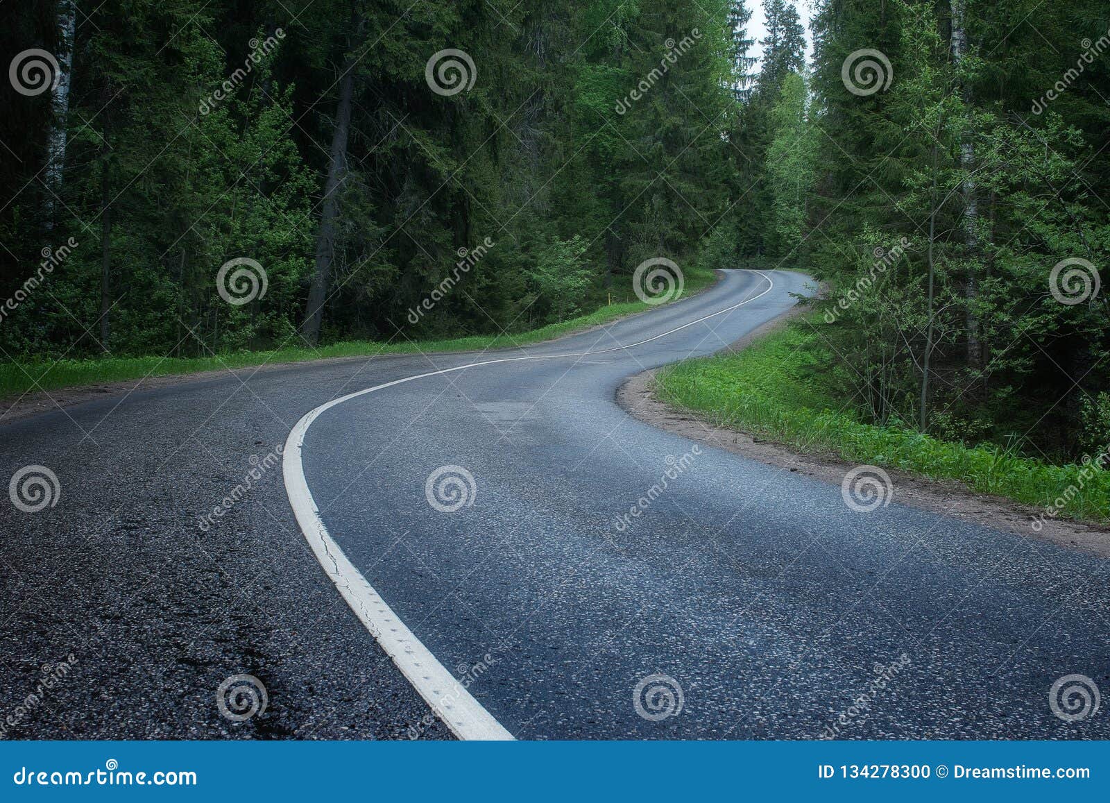 Chicane stock photo. Image of curve, scenery, route - 134278300