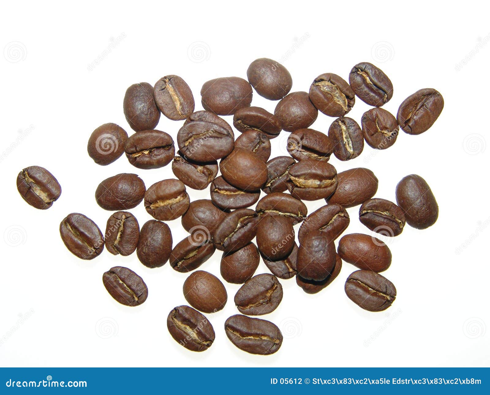 Chicchi di caffè fotografia stock. Immagine di giava, bevanda - 5612