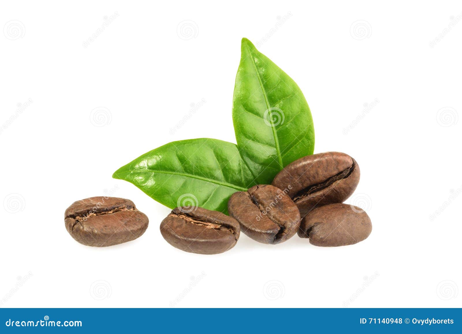 Chicchi Di Caffè Con Le Foglie Isolate Fotografia Stock - Immagine di ...