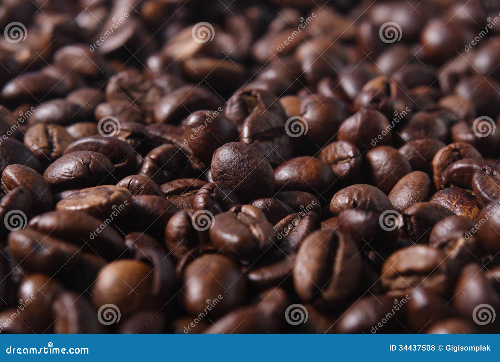 Chicchi di caffè robusta fotografia stock. Immagine di marrone - 34437508