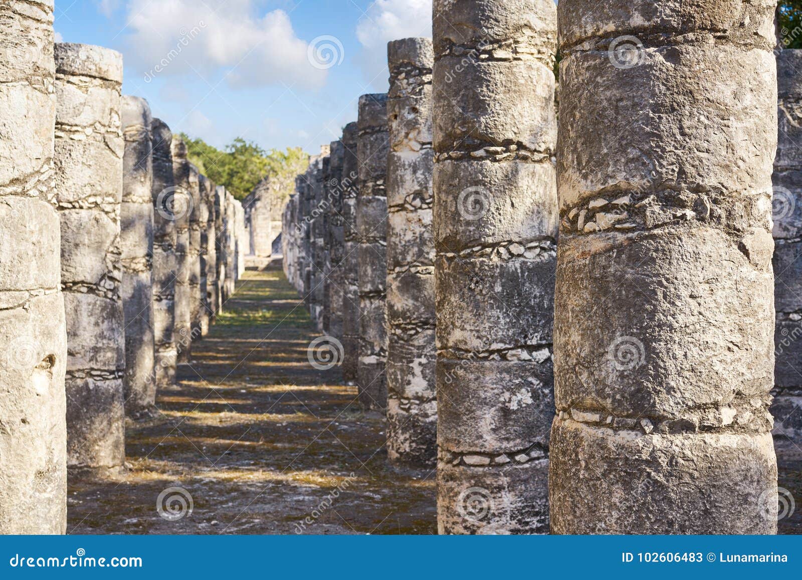 Columns Temple Of The Mayan Warriors Stock Image | CartoonDealer.com ...