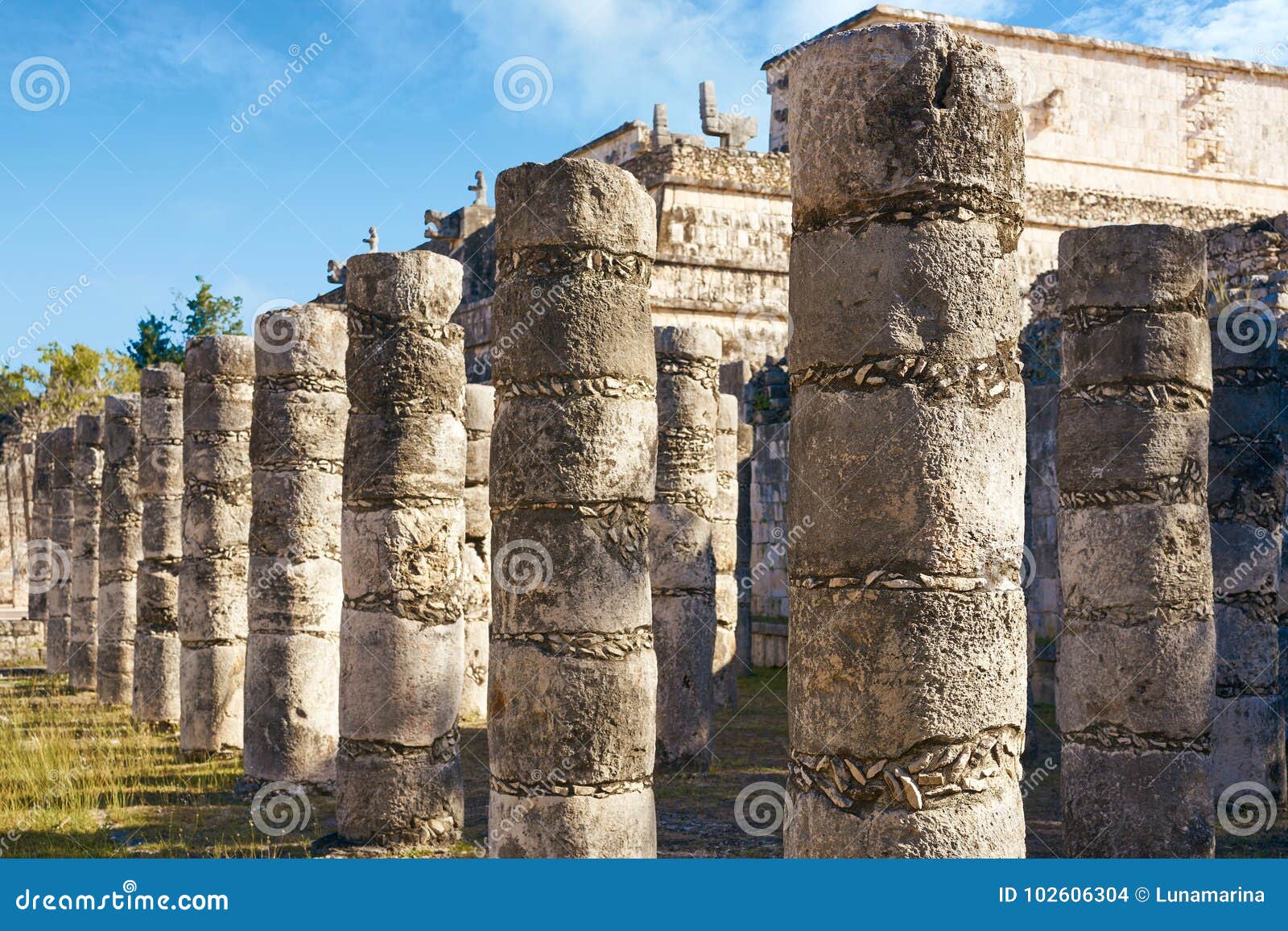 Columns Temple Of The Mayan Warriors Stock Image | CartoonDealer.com ...
