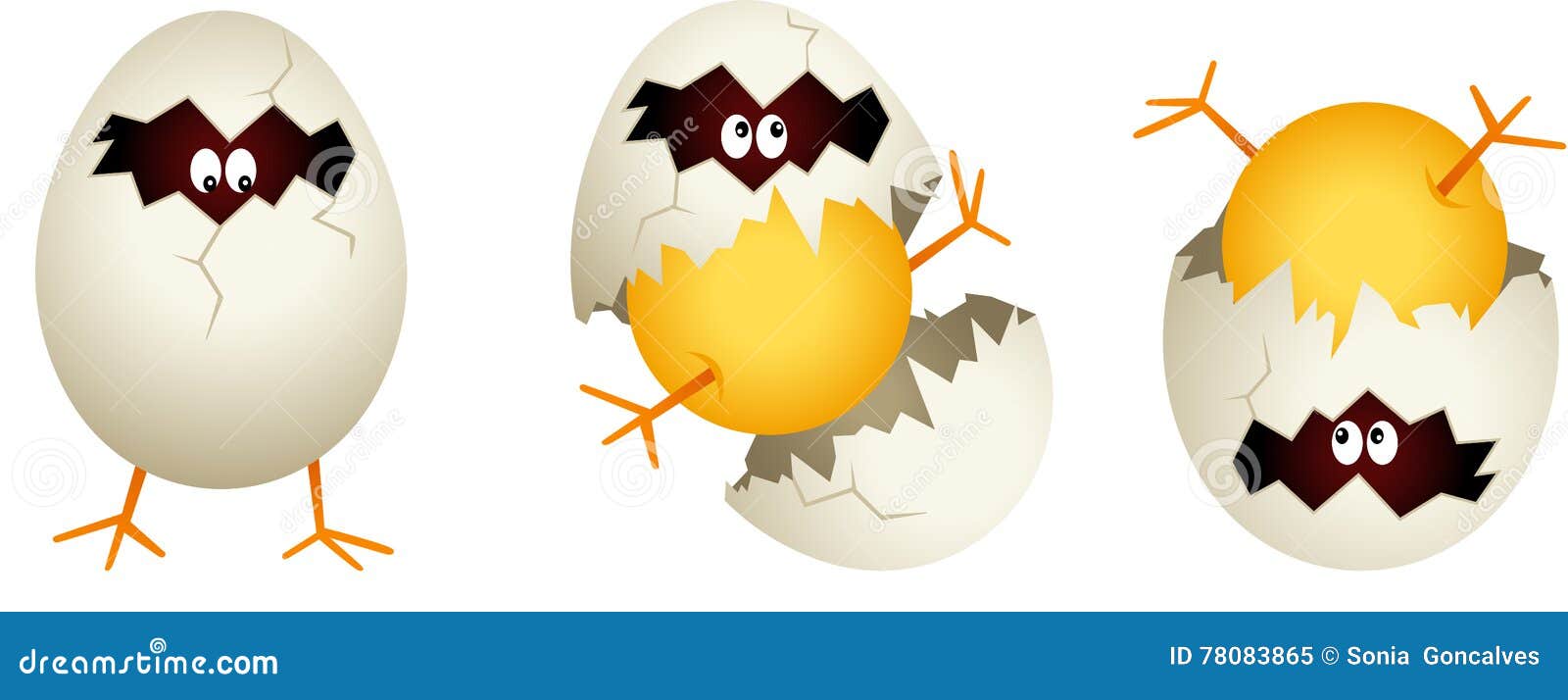 A Chick From A Shell Coloring Page Stock Image | CartoonDealer.com ...