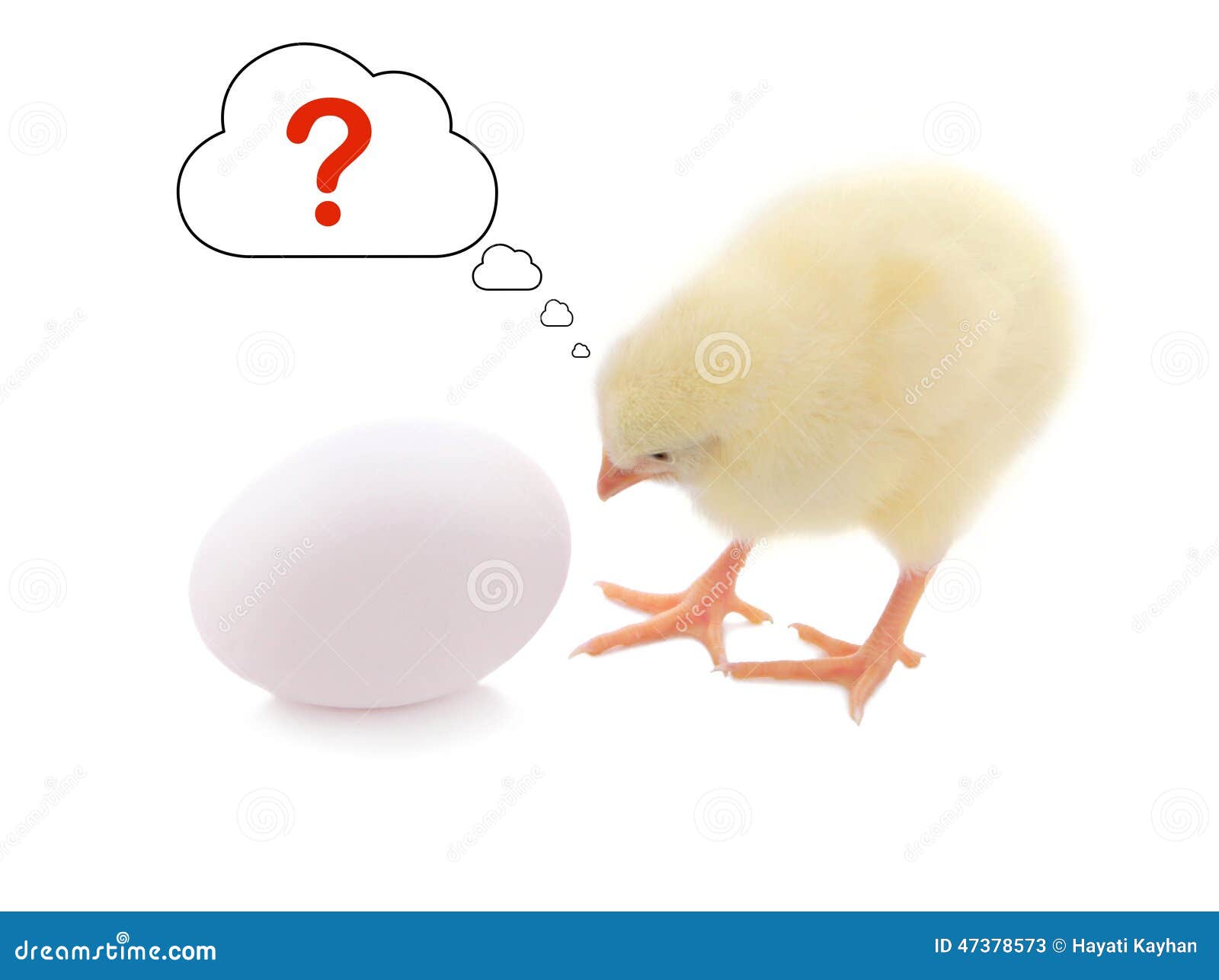 Chick and Egg with Question Mark in Thinking Balloon Stock Image ...