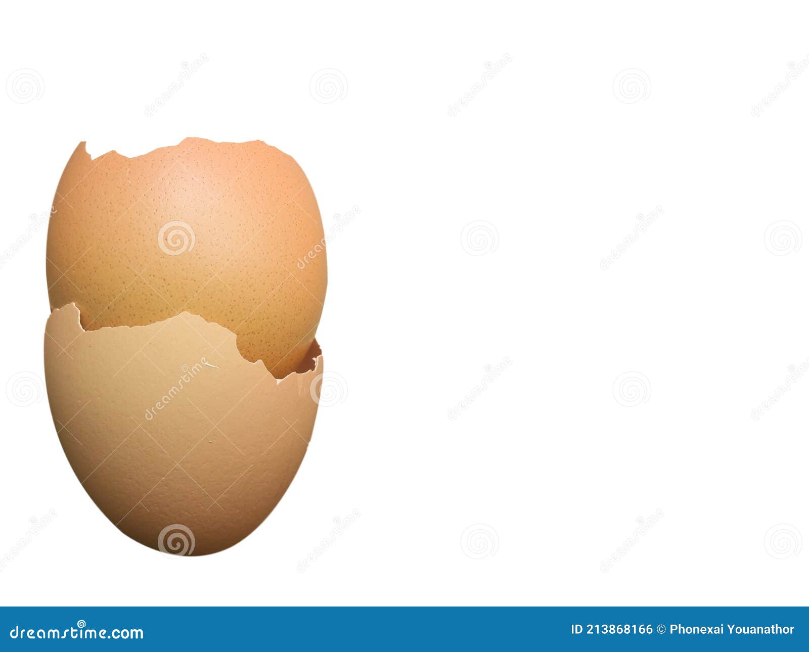 Shell Egg on the White Background Stock Photo - Image of care, dirty ...