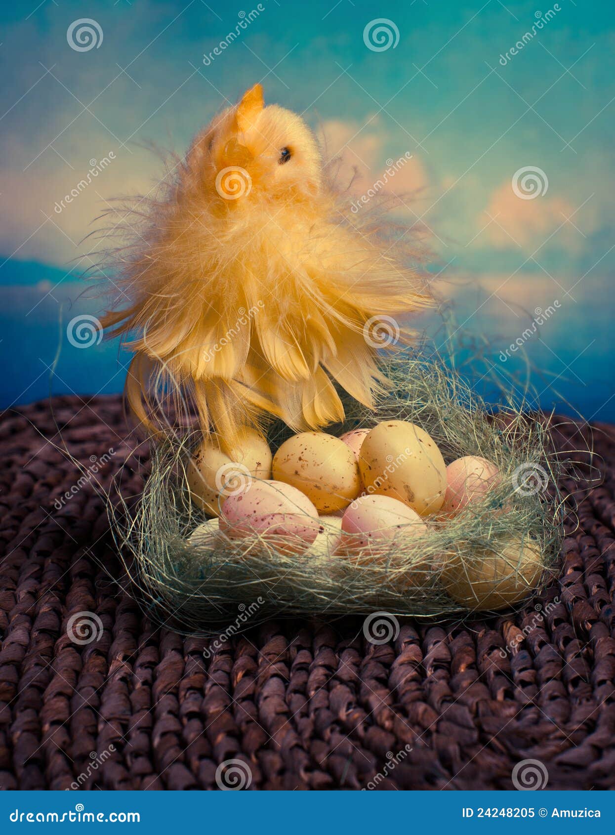 Chick and eggs in nest stock image. Image of artistic - 24248205