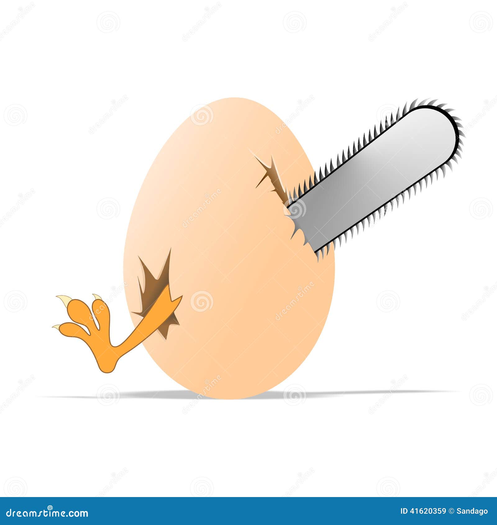 Eggshell Cracking Stages. Egg Breaking Sequence, Steps Realistic ...