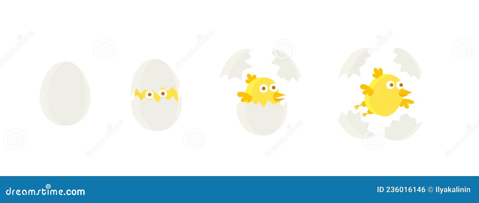 The Chick Hatches from the Egg. Vector Illustration. Stock Vector ...