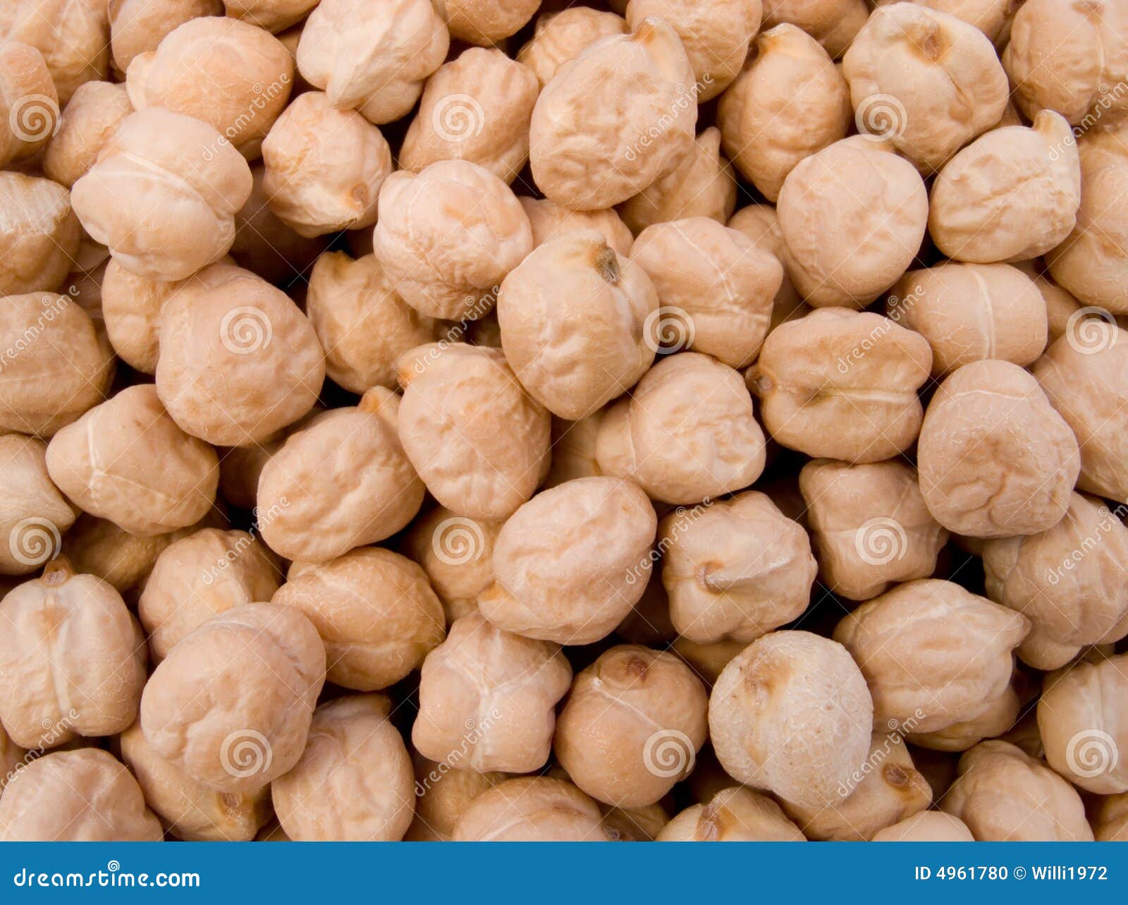 Chick peas stock photo. Image of legume, isolated, brown - 4961780